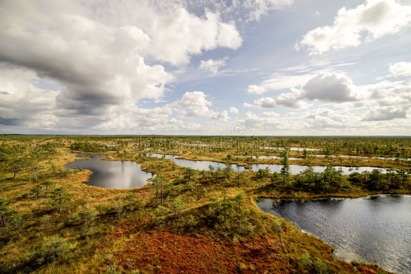 Swamp View Wtih Lakes and Footpath Stock Image - Image of adventure ...