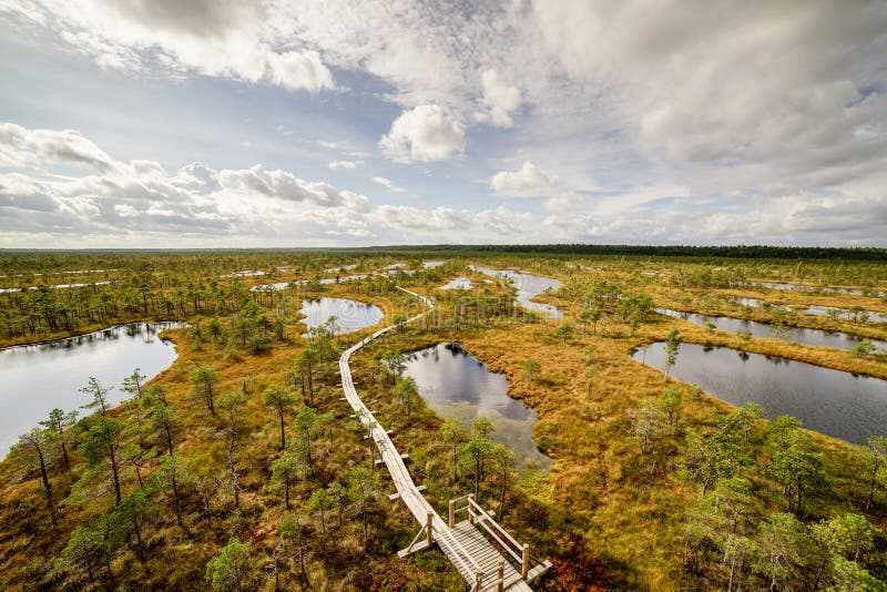 Swamp View Wtih Lakes and Footpath Stock Photo - Image of ecological ...