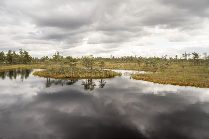 Swamp View Wtih Lakes and Footpath Stock Image - Image of lead ...