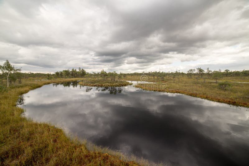 Swamp View Wtih Lakes and Footpath Stock Photo - Image of clouds ...