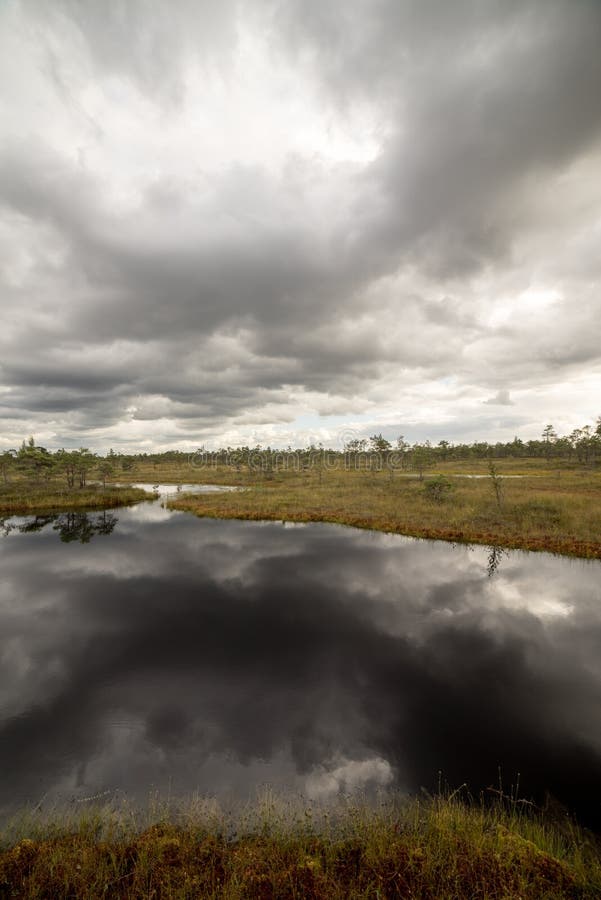 Swamp View Wtih Lakes and Footpath Stock Photo - Image of lakes ...