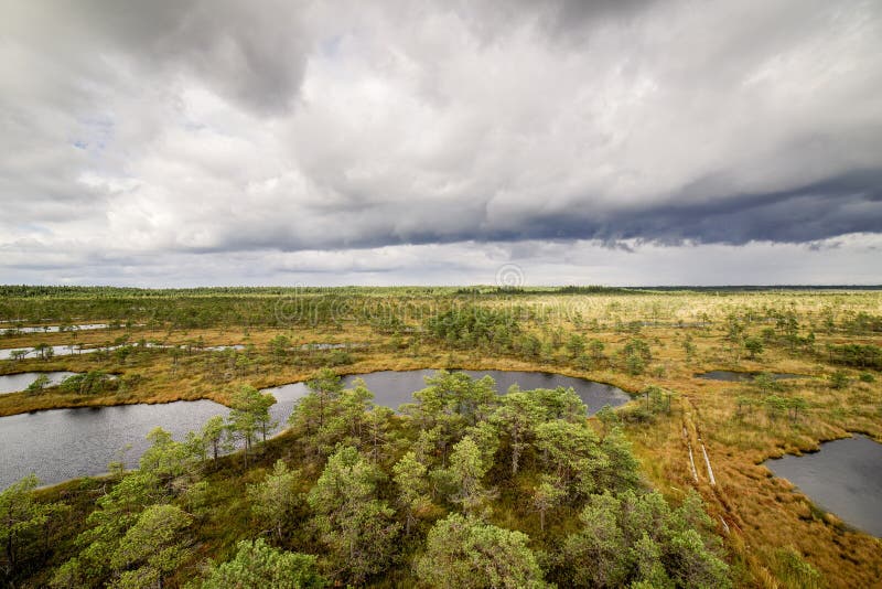 Swamp View Wtih Lakes and Footpath Stock Image - Image of perspective ...