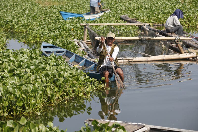 Swamp editorial photography. Image of people, water, swamp - 77633277