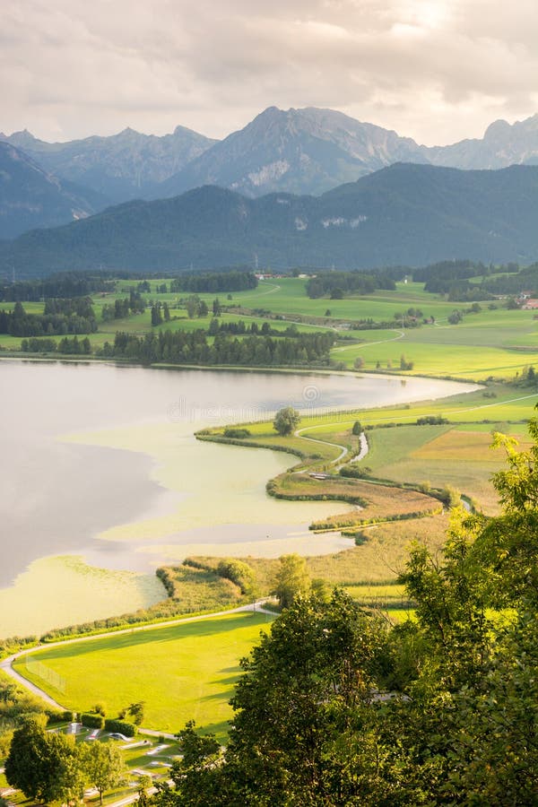 Swampland at Lake Hopfensee Stock Photo - Image of alps, allgaeu: 60905646