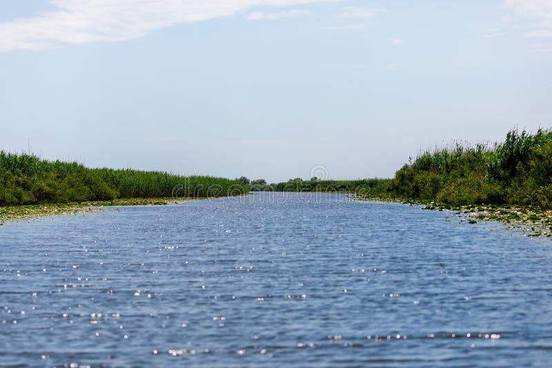 The Swamps and Wilderness of the Danube Delta in Romania Stock Image ...