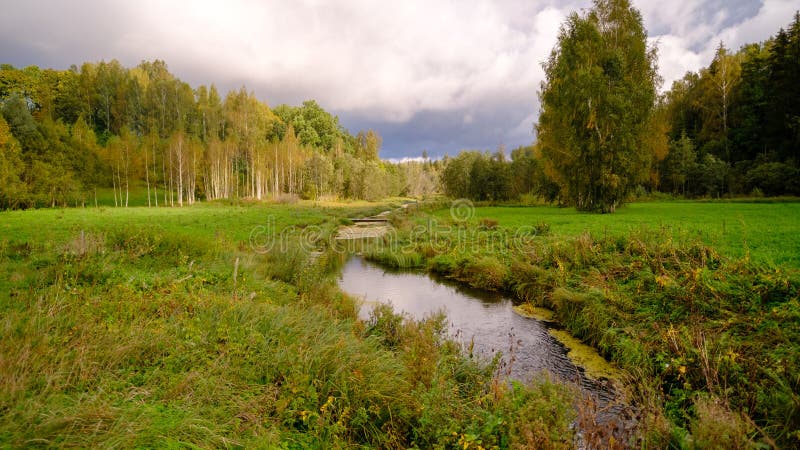 Swampy Environment with a Small River. the River Flows in a Slow Stream ...