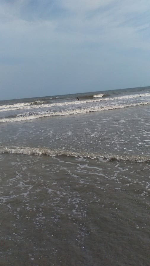 Swan beach stock image. Image of beach, island, ocean - 141043923