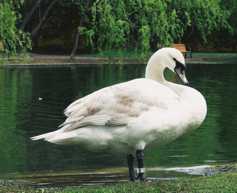 Fl K (Photosnak) - Photographer profile