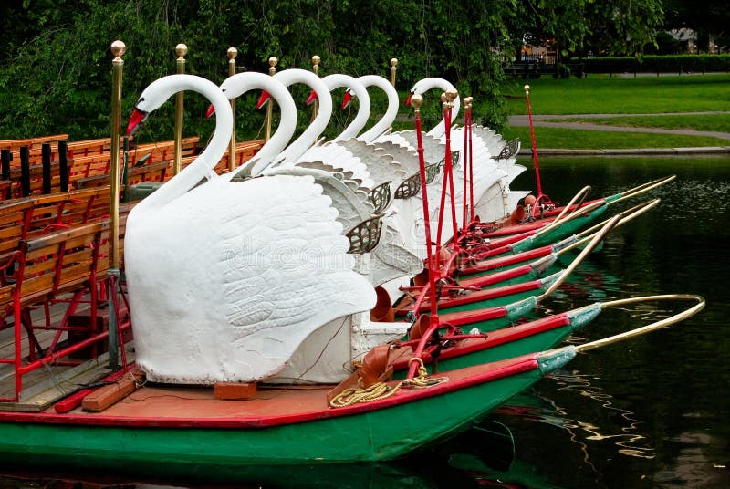 Swan Boats in Boston Common Editorial Stock Photo - Image of scenic ...