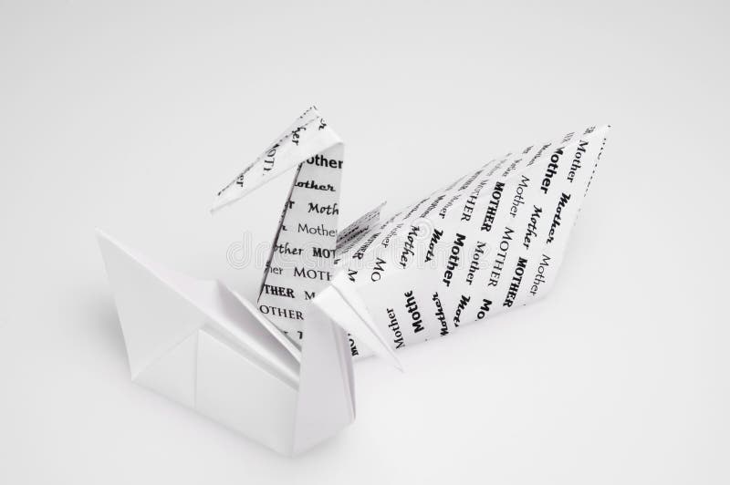 Swan and Cygnet stock photo. Image of caring, parenting - 5252306