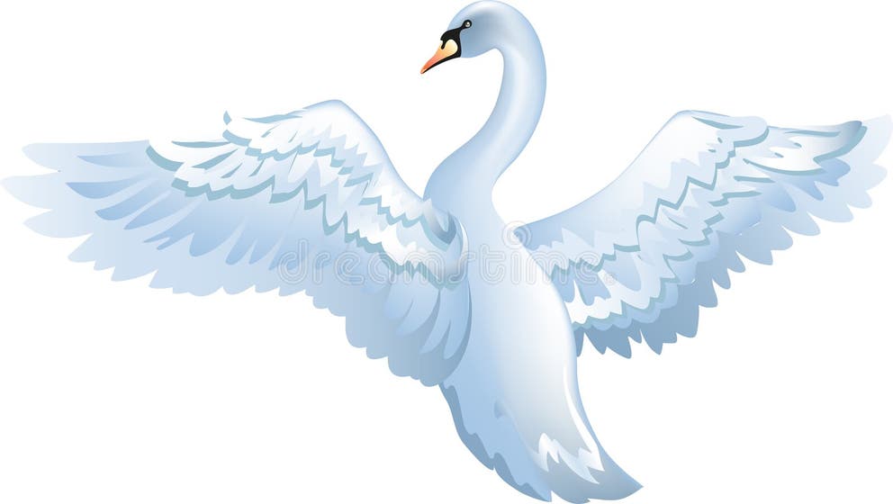 Swan stock vector. Illustration of swan, wing, beautiful - 31378324