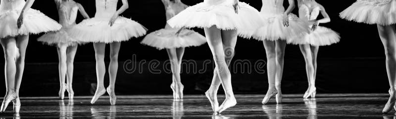 Swan Lake Ballet Stock Image Image Of Choreography 207031599