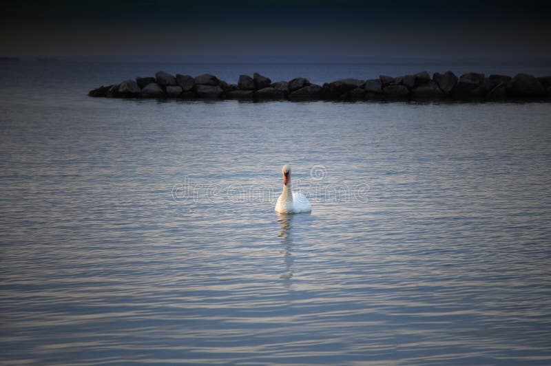 Blue sunset stock photo. Image of peaceful, serenity - 15165526