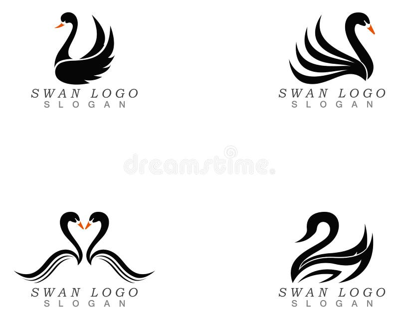 Calligraphy, swan stock vector. Illustration of drawing - 33576020