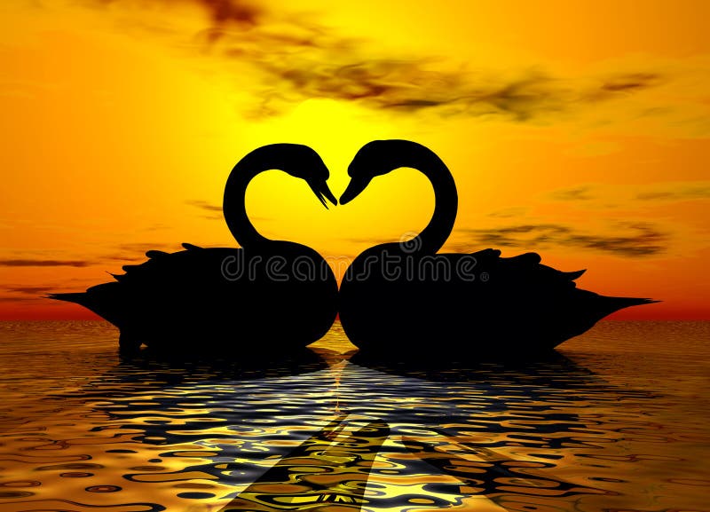 Swan Love in the Sunset stock image. Image of heart, forever - 2011935