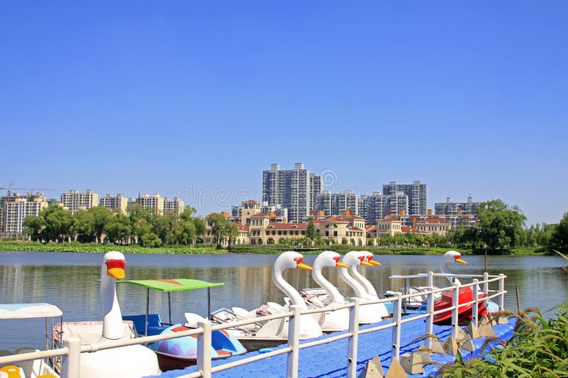 Swan Model Boat in the Park Stock Photo - Image of cruise, city: 378136728
