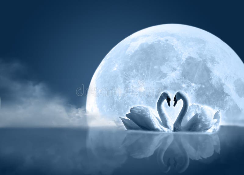 Swan in the moon stock illustration. Illustration of abstract - 9816027