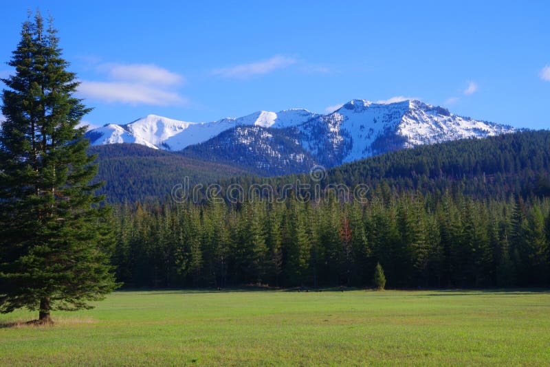 Swan Range, Flathead National Forest Stock Photo - Image of mountain ...