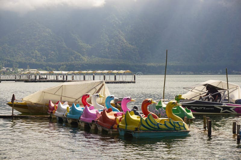 Swan ride on the lake editorial photo. Image of summer - 283283826