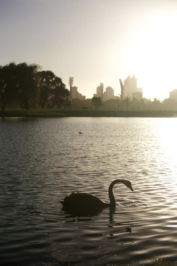 Swan River - Perth Western Australia Stock Image - Image of view, perth ...