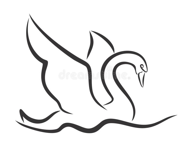 Drawing of a swan stock vector. Illustration of swan - 52220810