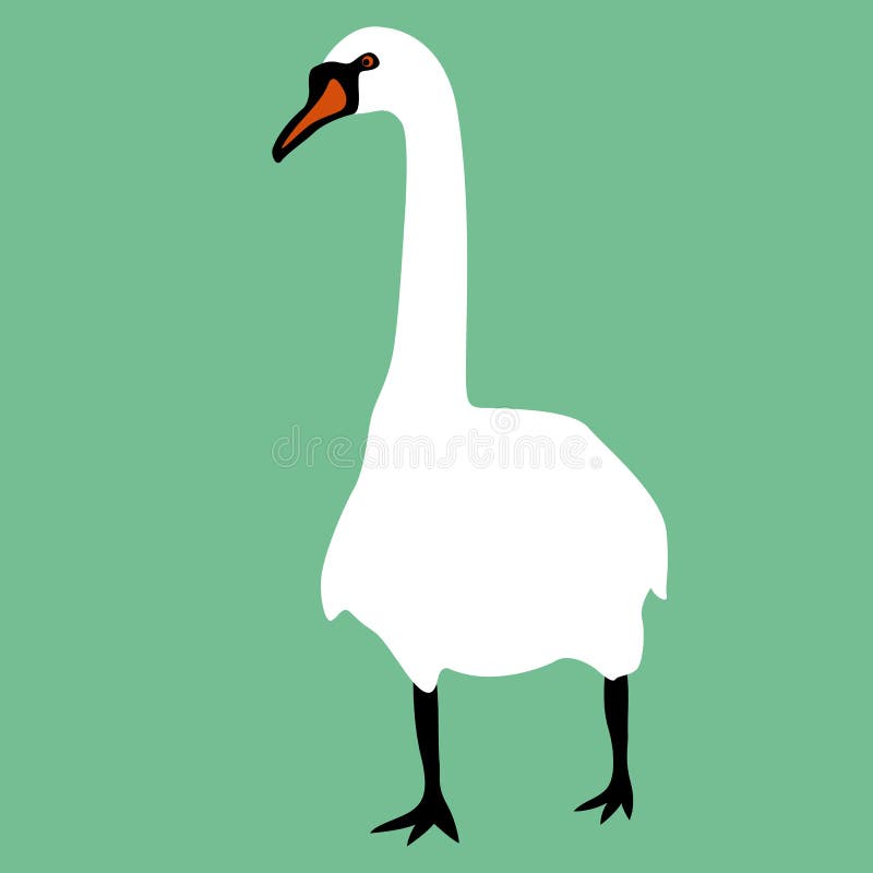 Swan Vector Illustration Style Flat Side Front Stock Vector ...