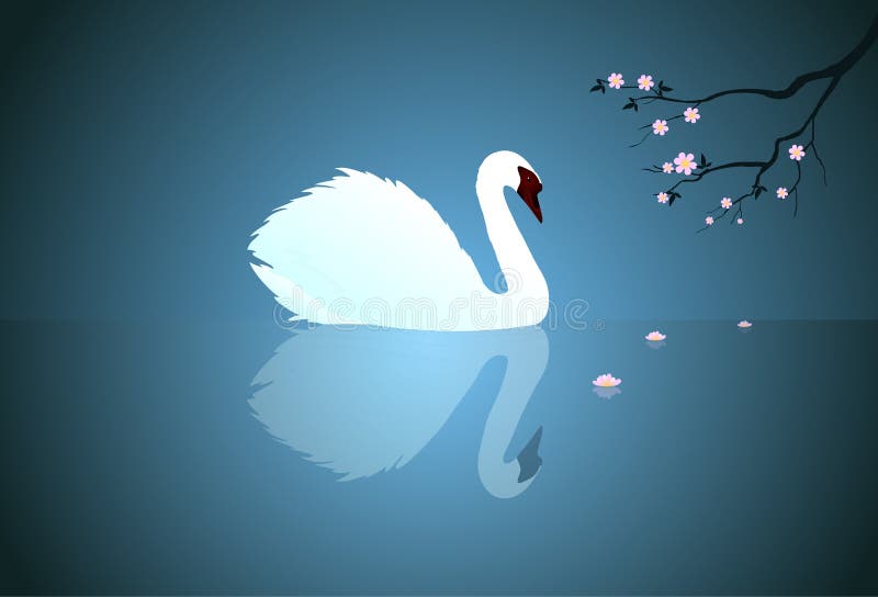 A Swan reflection stock illustration. Illustration of beautiful - 134950953