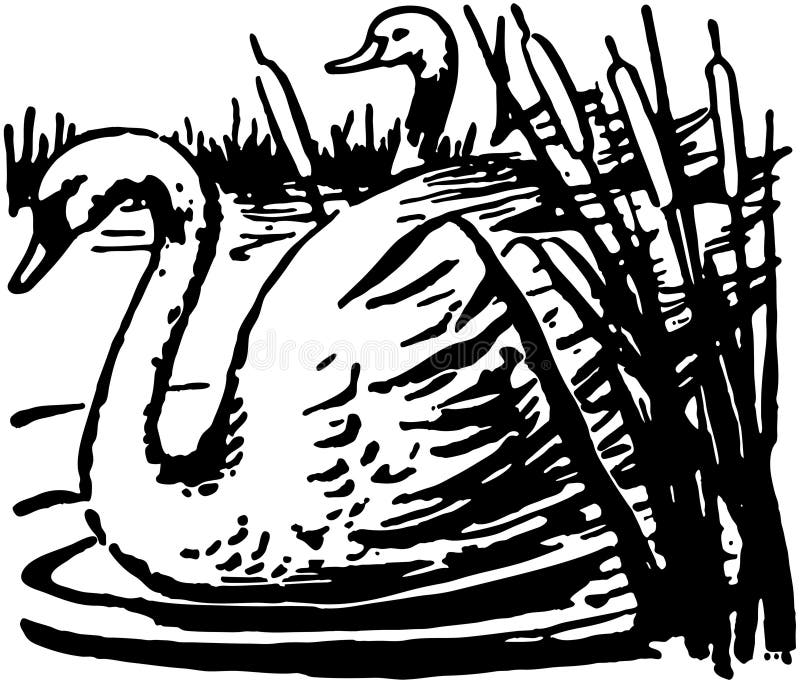 Swans stock vector. Illustration of advertising, couples - 42094515