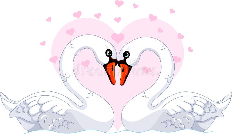 Romantic Swans Couple In A Heart Shape Vector Illustration Stock