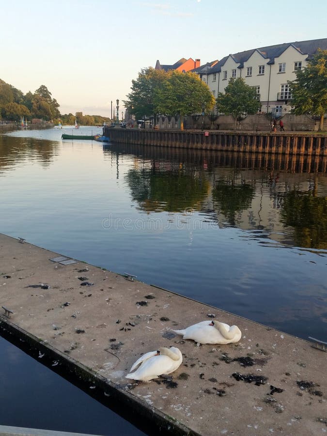 Exeter Quay Panoramic View England Stock Photo - Image of outdoor ...