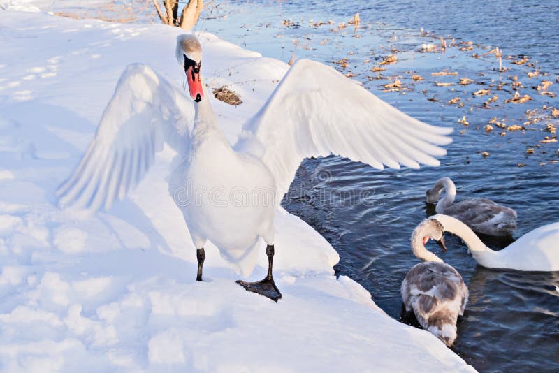 Fine Cold Bank Calendar Stock Photos - Free & Royalty-Free Stock Photos ...