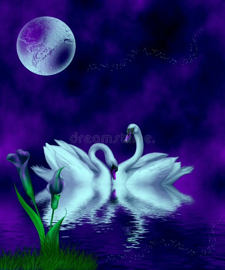 Moonlight Swan Stock Illustrations – 201 Moonlight Swan Stock ...