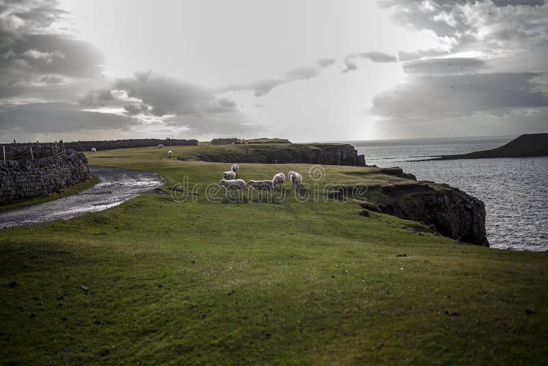 Swansea Bay stock photo. Image of spring, water, landscape - 29158494