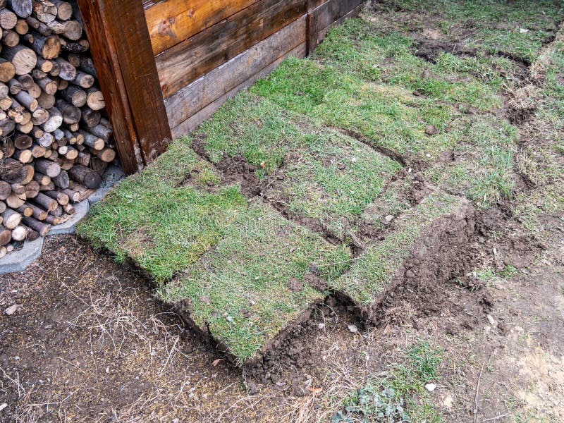 Sward is Laid in the Garden Stock Image - Image of gardener, dirt ...