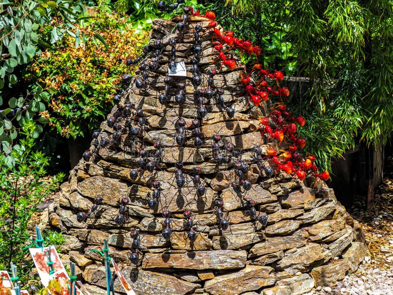 Swarm of Artificial Black and Red Ants on a Pile of Rocks Surrounded by ...