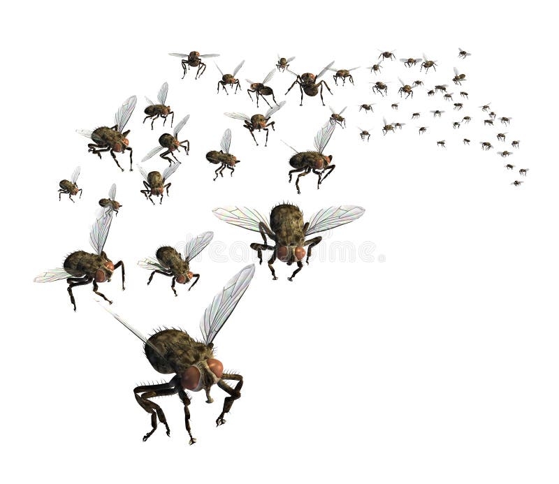 Swarm of Flies stock illustration. Illustration of arthropod - 5102782