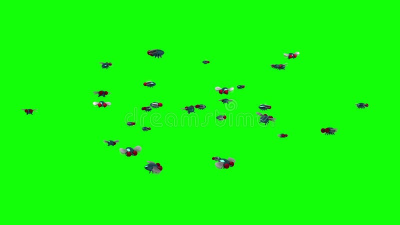 Swarm of Flies. 3D Animation in Cartoon Style. Green Screen, Loopable ...