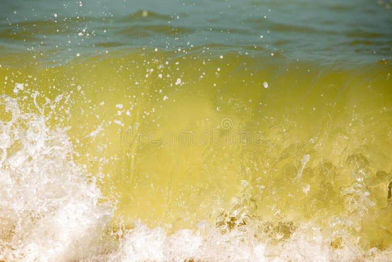 Swash of the Rolling Wave on the White Sand Beach Stock Image - Image ...