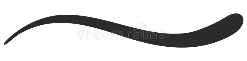 Swash Swooshes Tail. Underlined Text Swoops Tails for Calligraphy ...