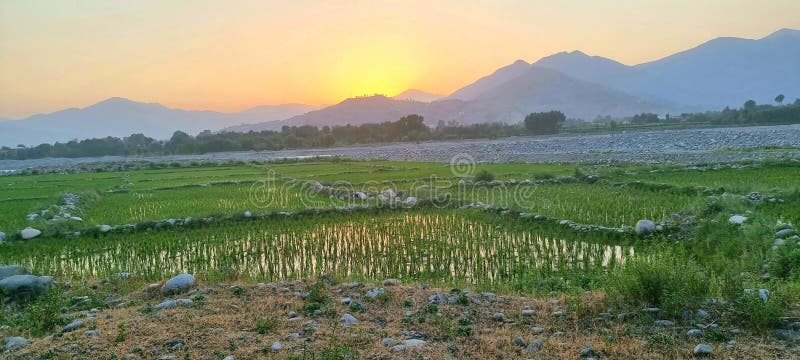 158 Swat Greenery View Stock Photos - Free & Royalty-Free Stock Photos ...