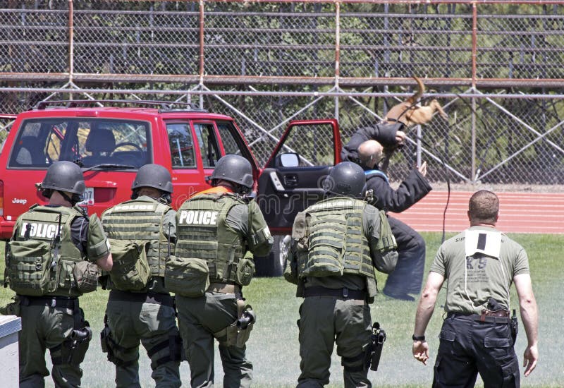 Swat Team Exercise with Canine Editorial Photo - Image of sunny, cops ...