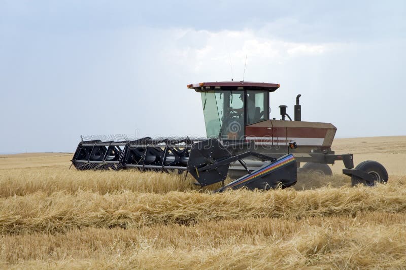 Swather stock photo. Image of farmland, grain, healthy - 1884820