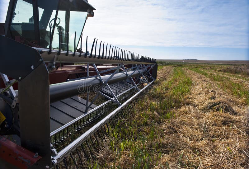Swather stock image. Image of tractor, work, grain, prairies - 21351107