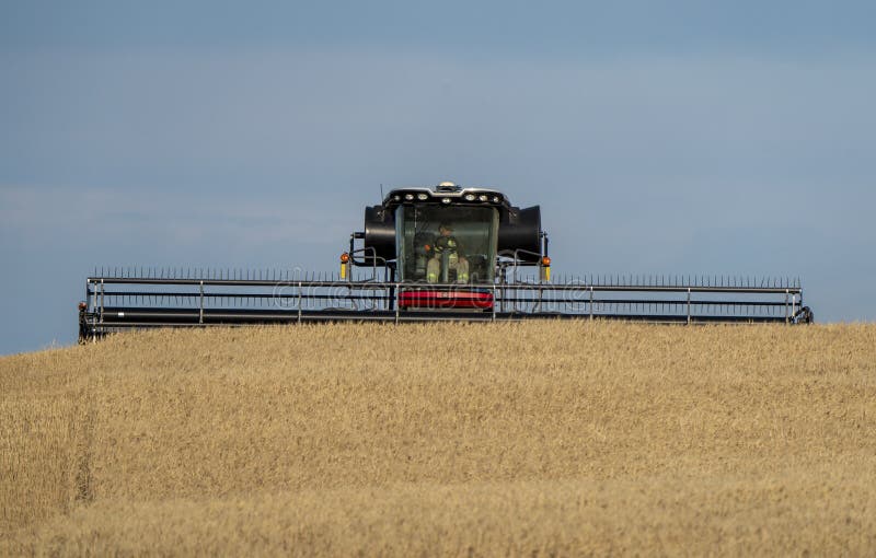 Swather in Action editorial photo. Image of machine - 229427996