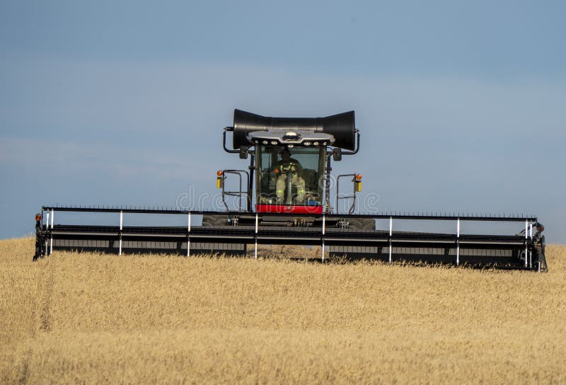 Swather in Action editorial photo. Image of machine - 229427996