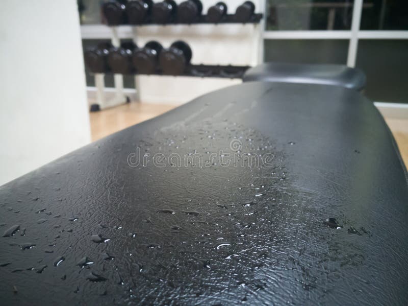 Sweat on the Bench Exercise Stock Photo - Image of fitness, hard: 103827146