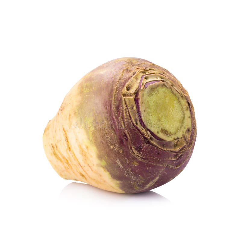 Swede on white background stock image. Image of natural - 71337357