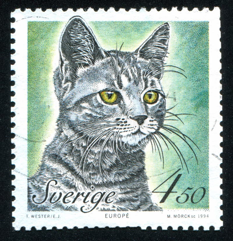 Sweden cat editorial photo. Image of mail, ancient, nature - 142207256
