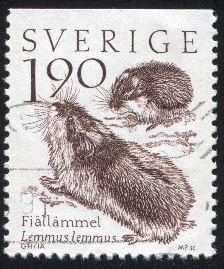 Lemming stock photo. Image of brute, postmark, nail - 362449606