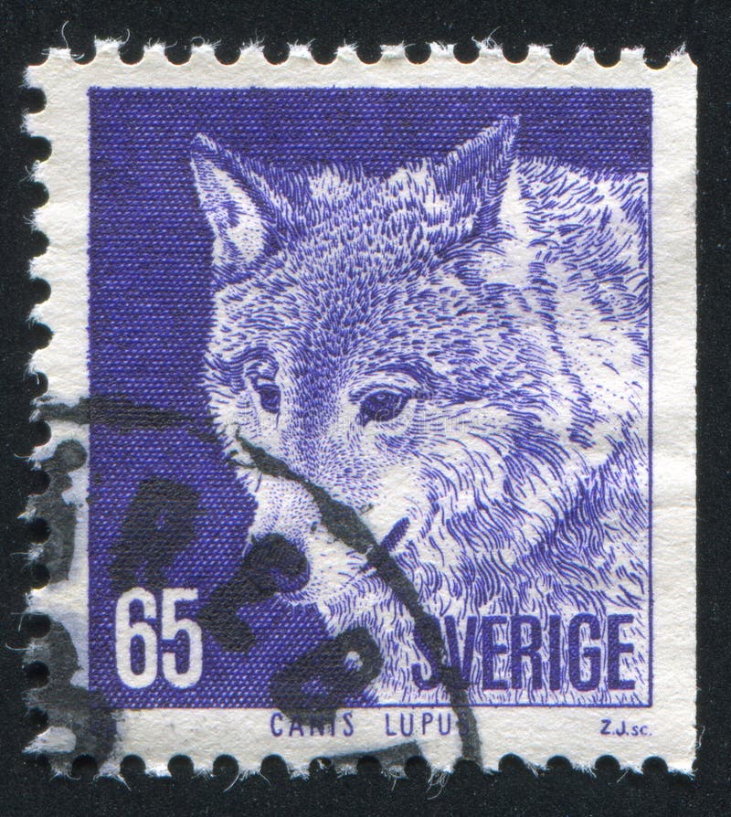 Wolf stock image. Image of aged, postage, philately - 362449433